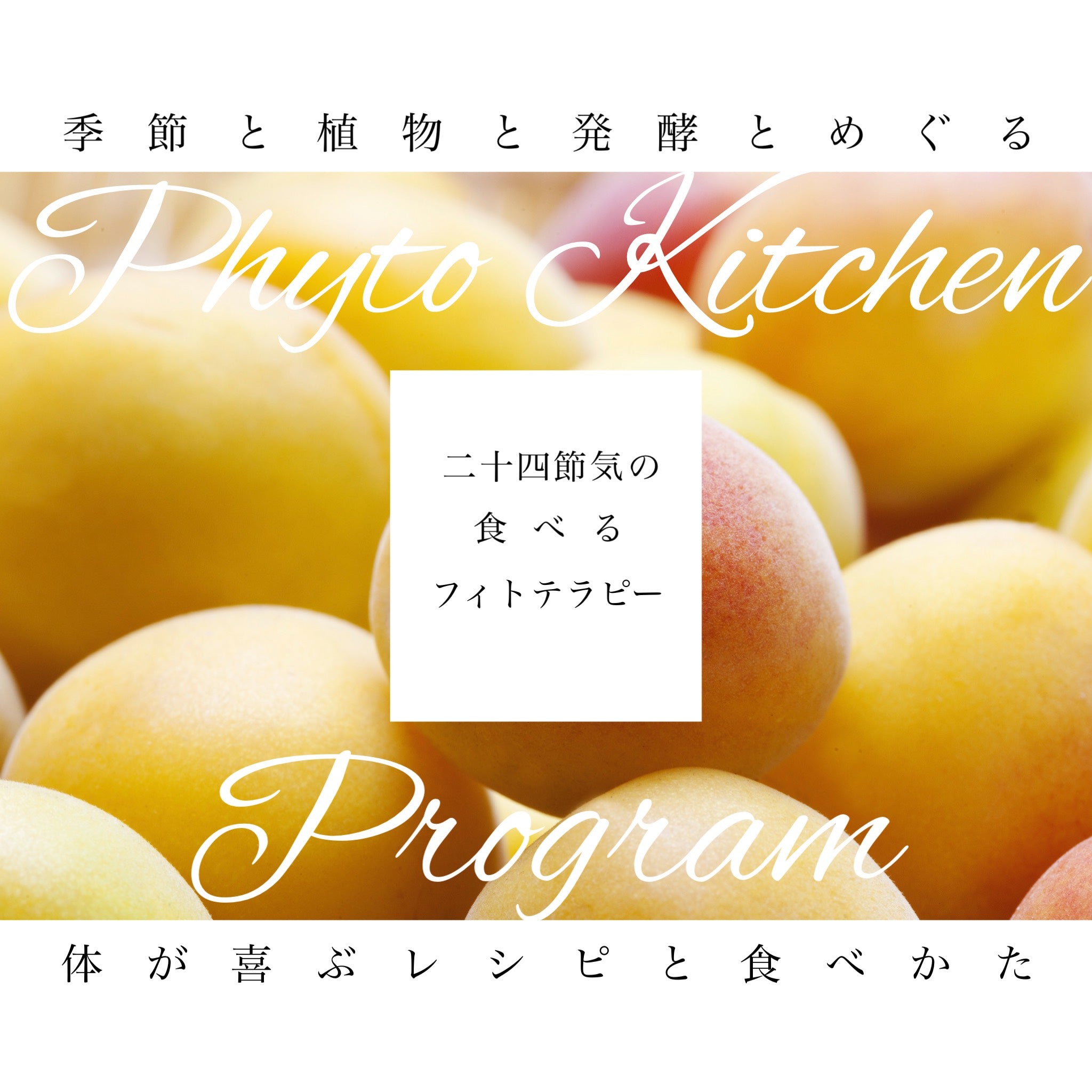 Phyto Kitchen Program｜二十四節気の食べるフィトテラピー – Kiyo NATURE