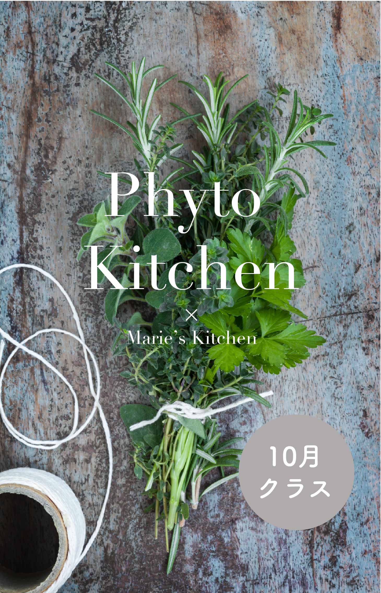 SCHOOL – Kiyo NATURE